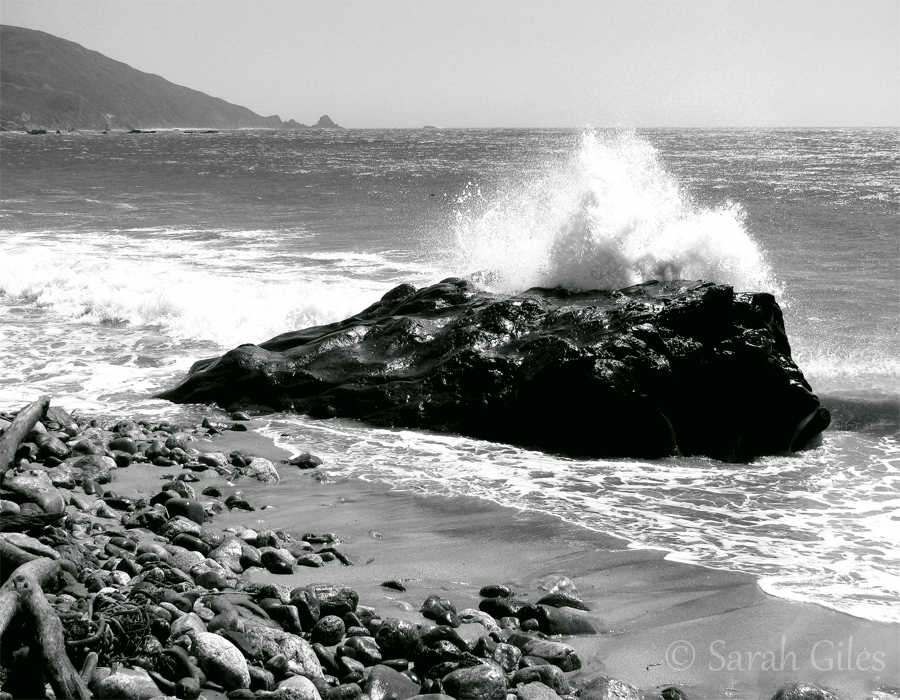 My Photography - Solution Central